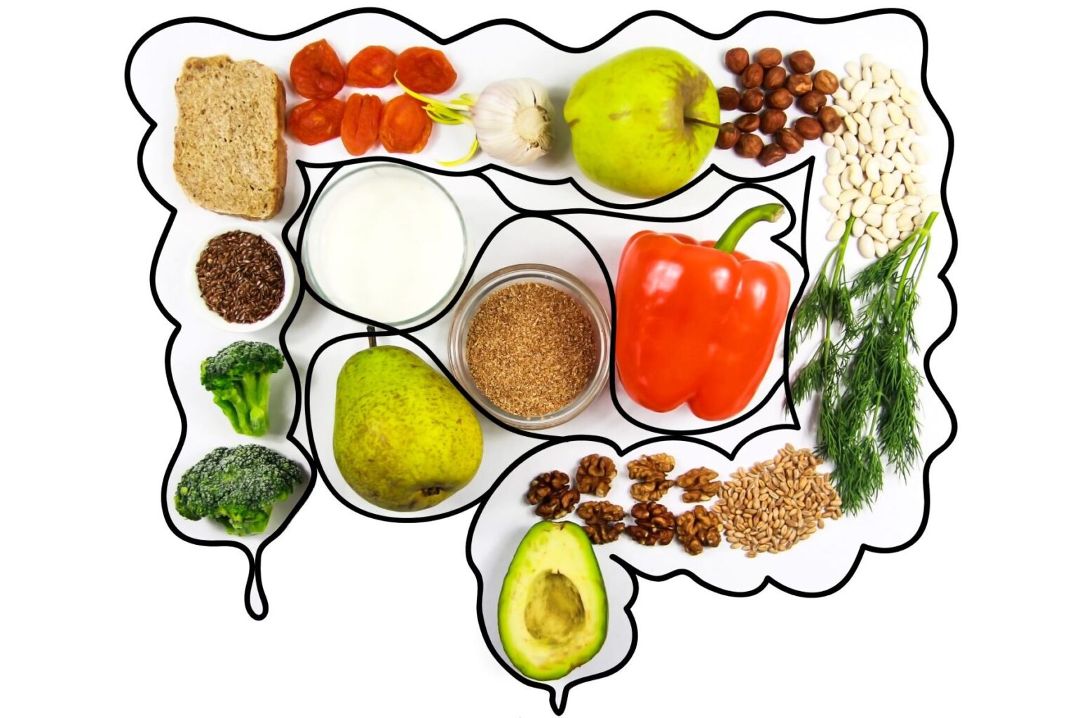 Gut Drop Review 2025: A Powerful Boost for Your Gut Health - HGI ...